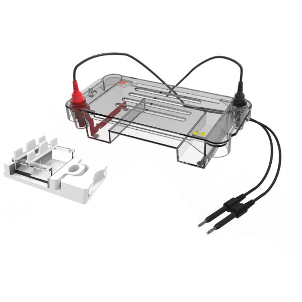 Dlab Dl-Sub01 Horizontal Electrophoresis Tank 18901251