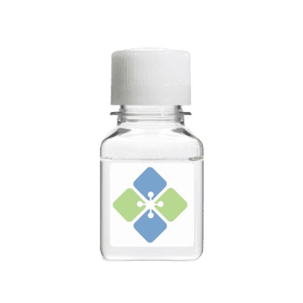 Molecular Depot Alkaline Phosphatase Assay Buffer (10X) B2010944