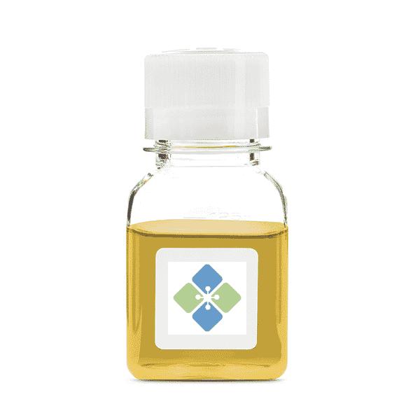 Molecular Depot Human Serum Free of Steroids B2011007