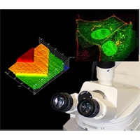 Microscopy Solutions - Spectra Services, Inc.