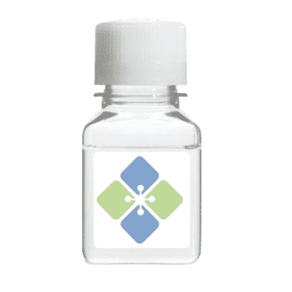 Molecular Depot Zein (Highly Pure) B2013365