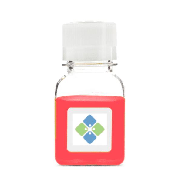 Molecular Depot Phenol Red Solution B2013526