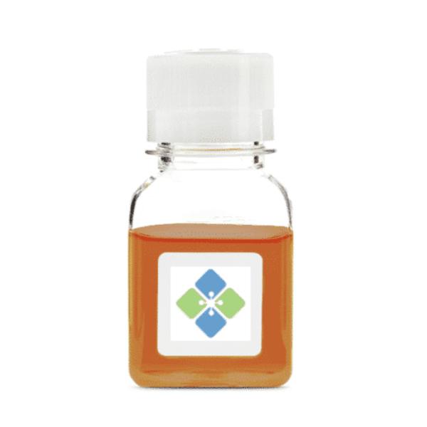 Molecular Depot Gold Colloid Nanoparticles 50 nm B2014080