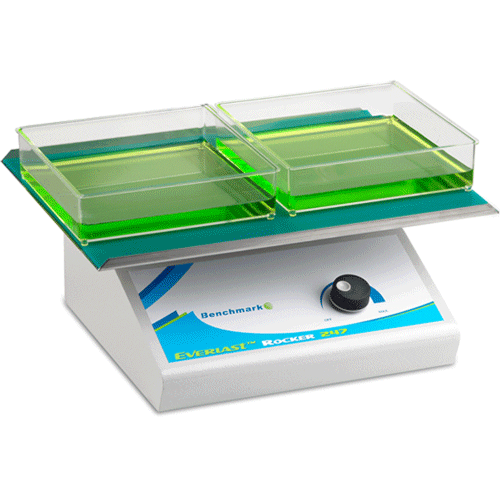 Benchmark Scientific Everlast 247 Platform Rocker BR5000