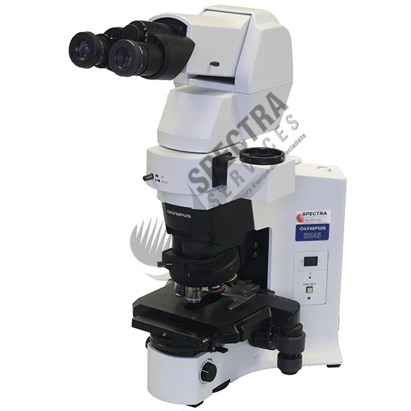 Olympus BX45 Microscope with Ergo Head, Camera Port