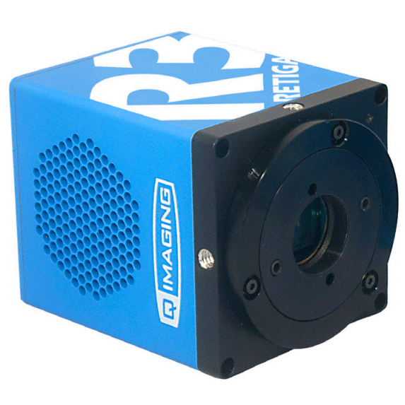 QImaging Retiga R3 USB3.0 Color CCD Camera