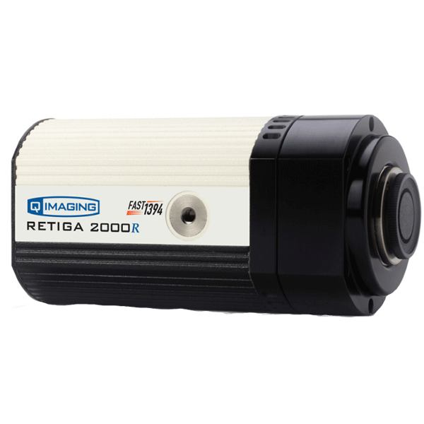 QImaging Retiga 2000R Color CCD Camera