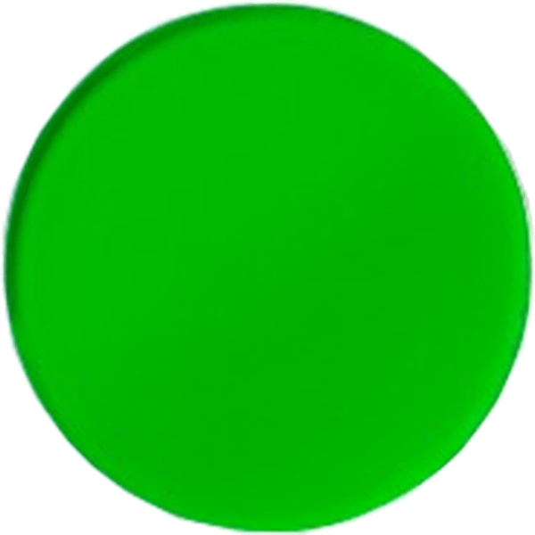 Schott Insert Filter 28mm Green Filter 258.304