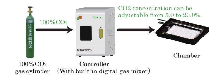 Tokai Hit Stage Top Incubation System for 100% Co2 STXG-WELSX-SET