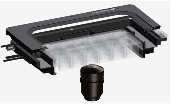 Tokai Hit Stage Top Incubation System for 100% Co2 STXG-WELSX-SET